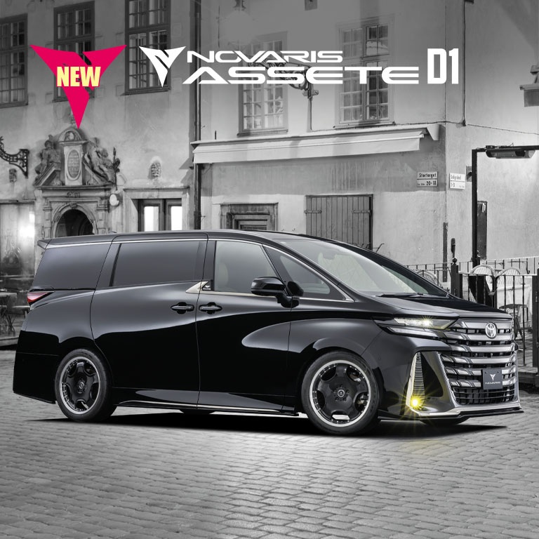 NOVARIS ASSETE D1 – weds CO., LTD.