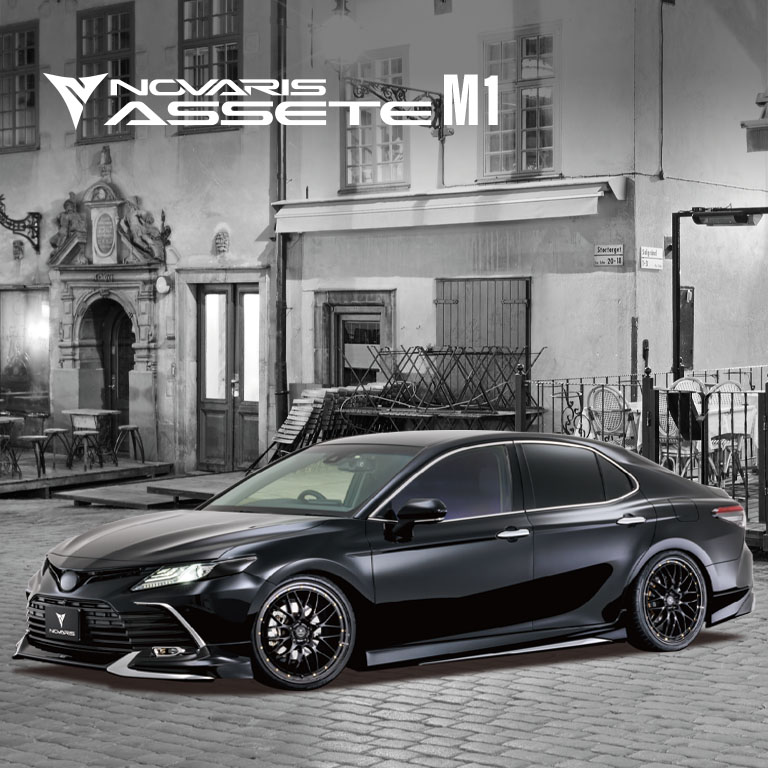 NOVARIS ASSETE M1 – weds CO., LTD.