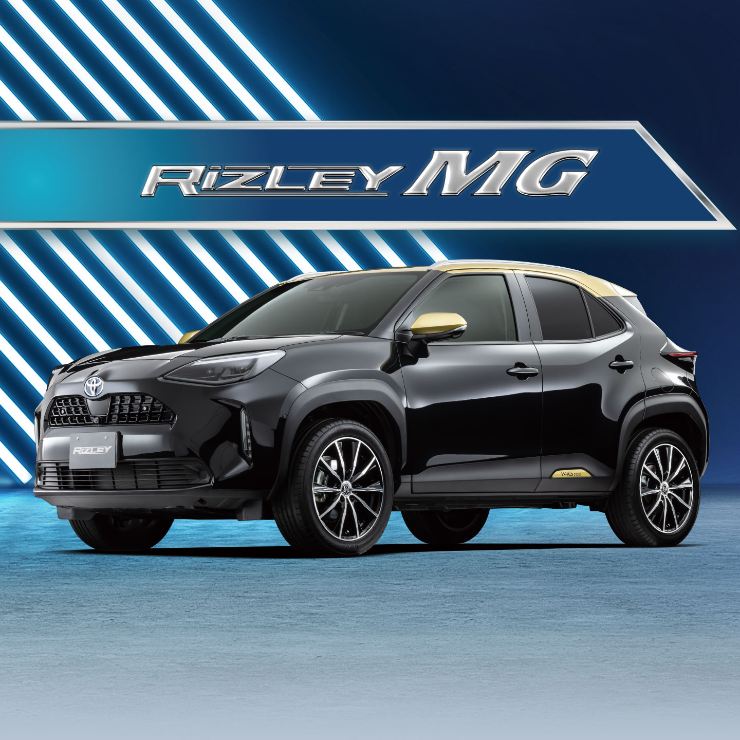 RIZLEY MG – weds CO., LTD. | 株式会社ウェッズ
