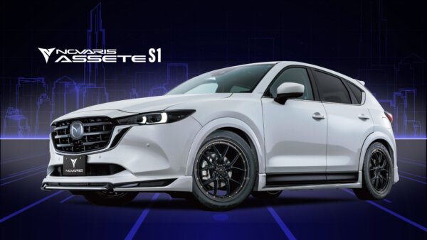 NOVARIS ASSETE S1 – weds CO., LTD. | 株式会社ウェッズ