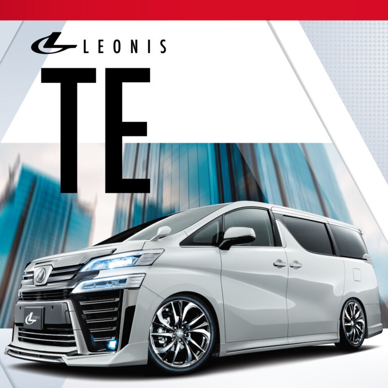 LEONIS TE – weds CO., LTD. | 株式会社ウェッズ